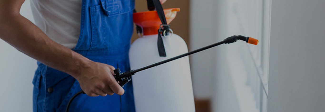 End-of-Lease Pest Control Melbourne | Pestico Pest Control Melbourne